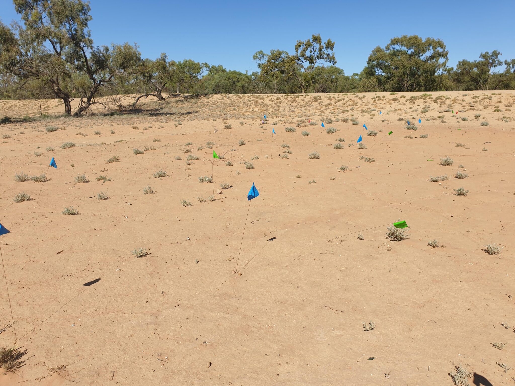 Menindee Lakes | Austral Archaeology