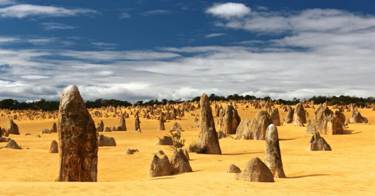 All You Need to Know About Ritual and Structured Deposition